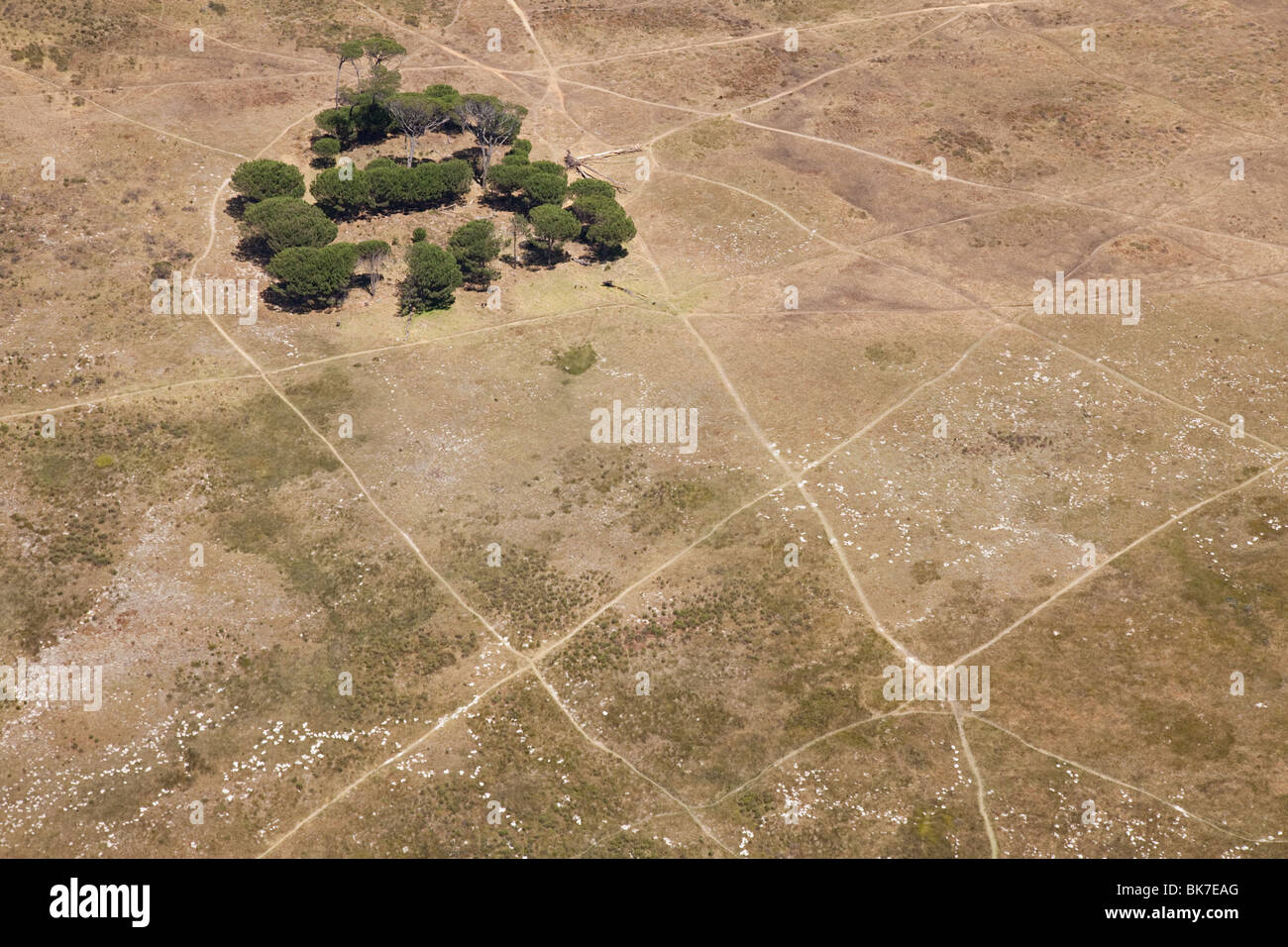 Plain landscape hi-res stock photography and images - Alamy