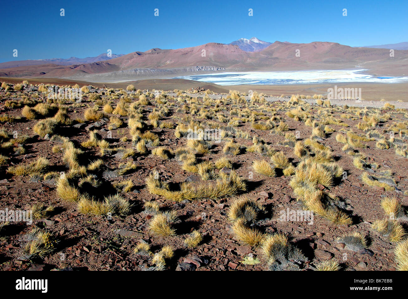 Bolivia nature landscape hi-res stock photography and images - Alamy