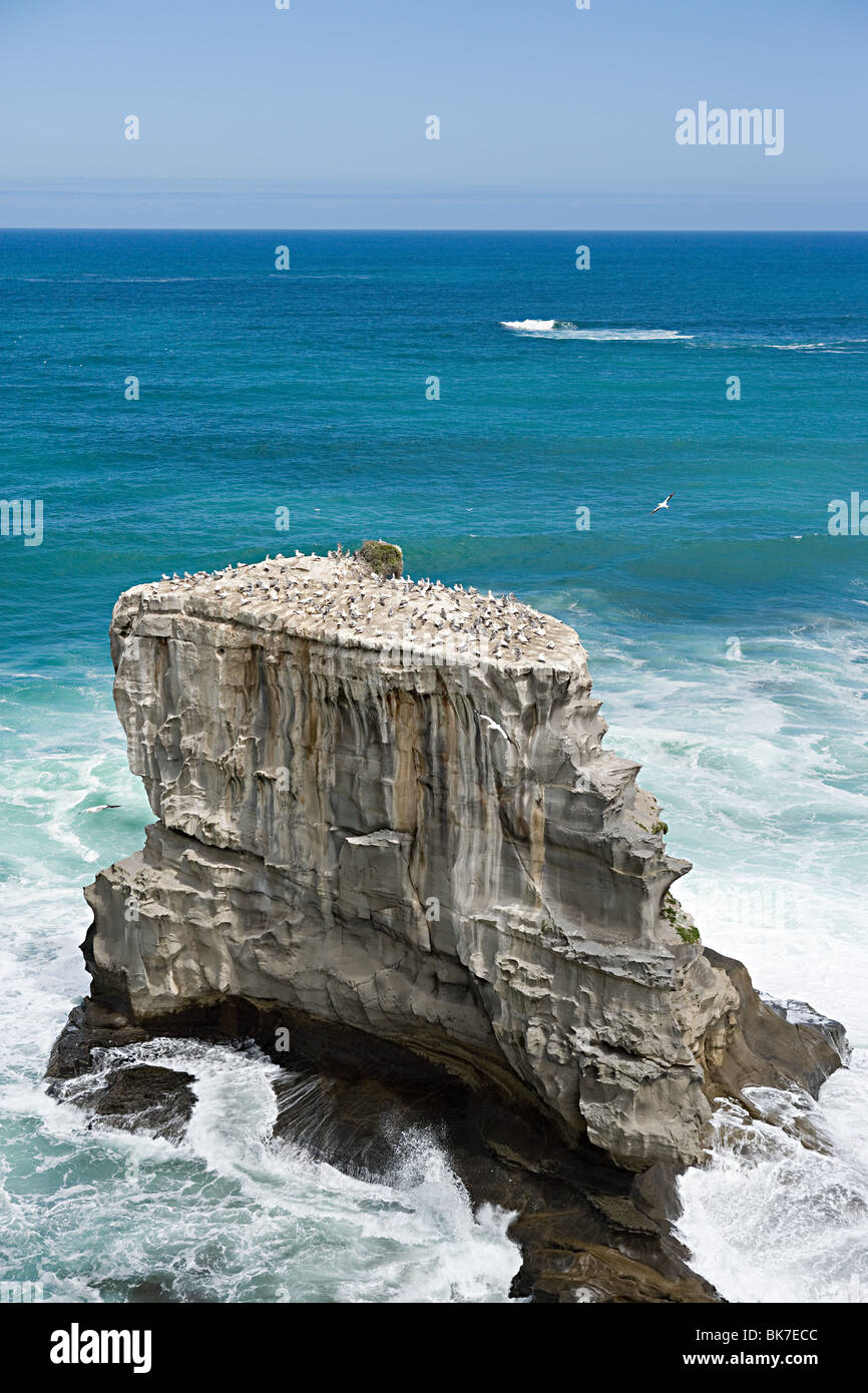 Auckland aerial hi-res stock photography and images - Alamy