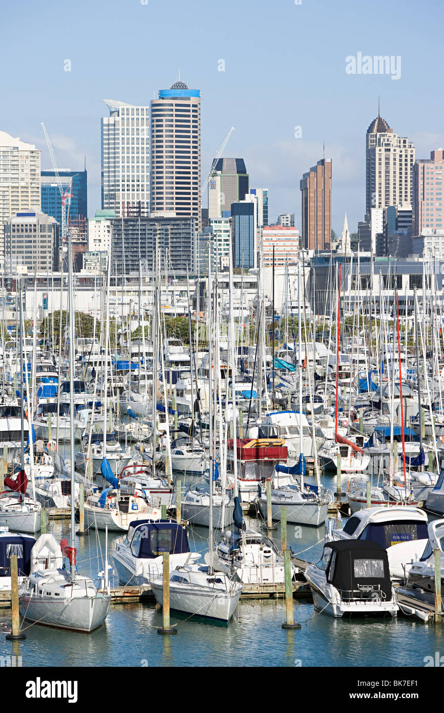 Westhaven Marina, Auckland Stock Photo - Alamy