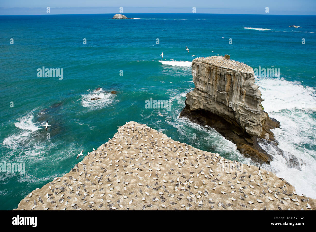 Auckland aerial hi-res stock photography and images - Alamy