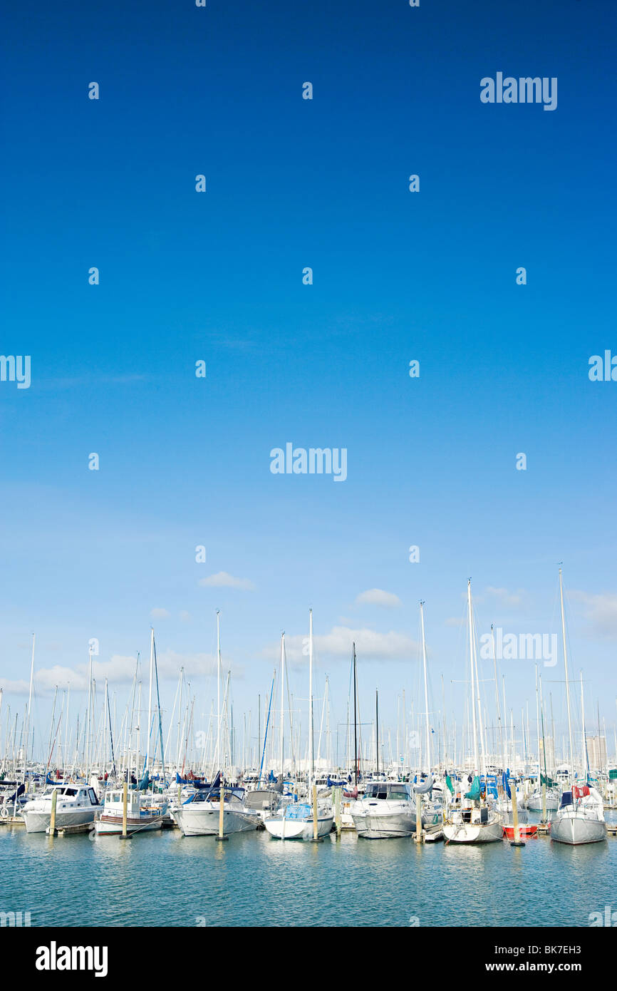 Westhaven Marina, Auckland Stock Photo - Alamy