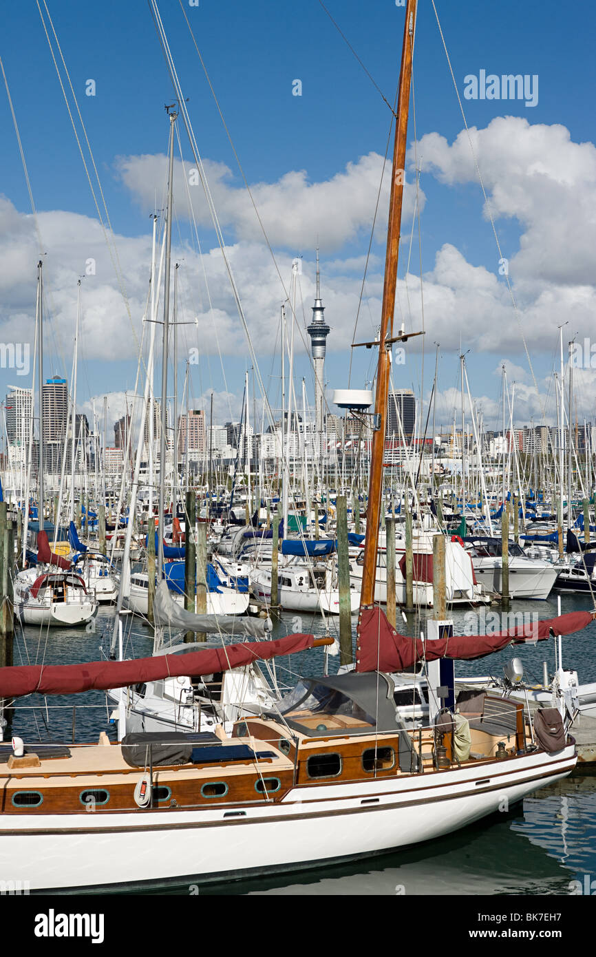 Westhaven Marina, Auckland Stock Photo - Alamy