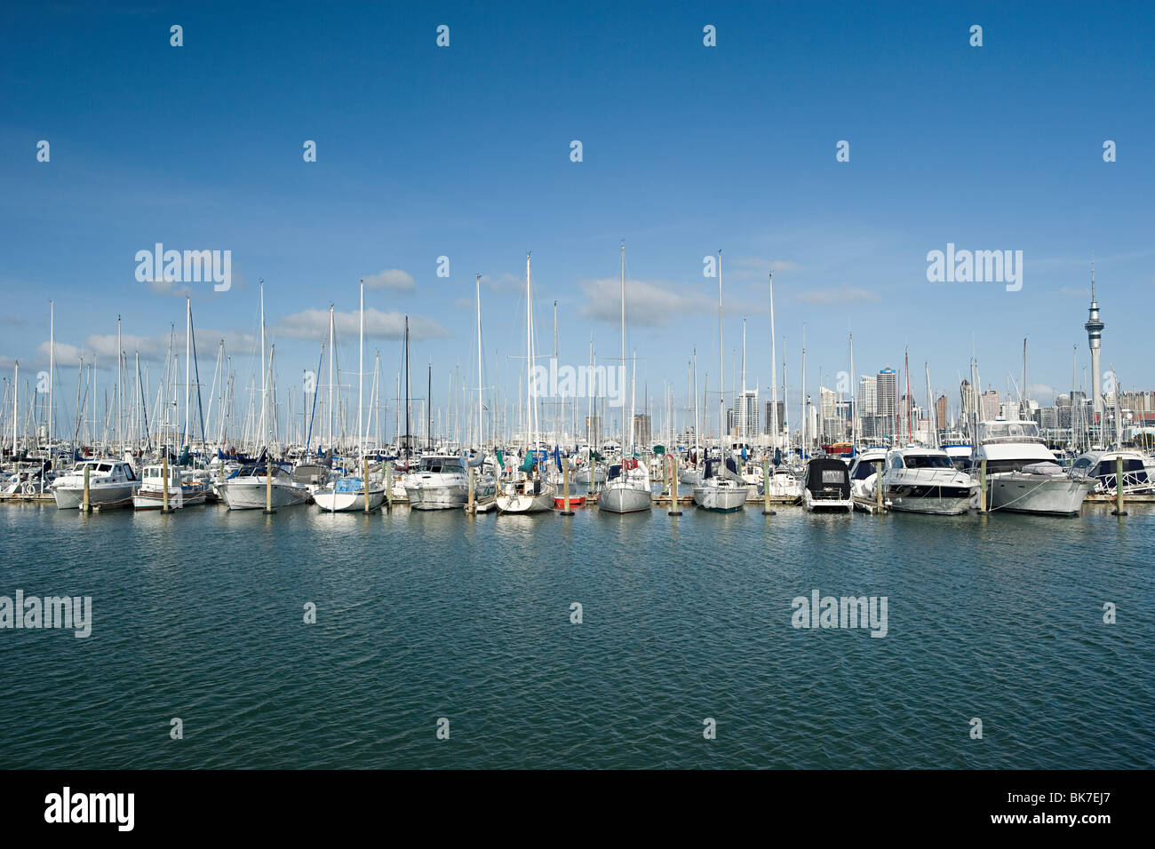 Westhaven Marina, Auckland Stock Photo - Alamy