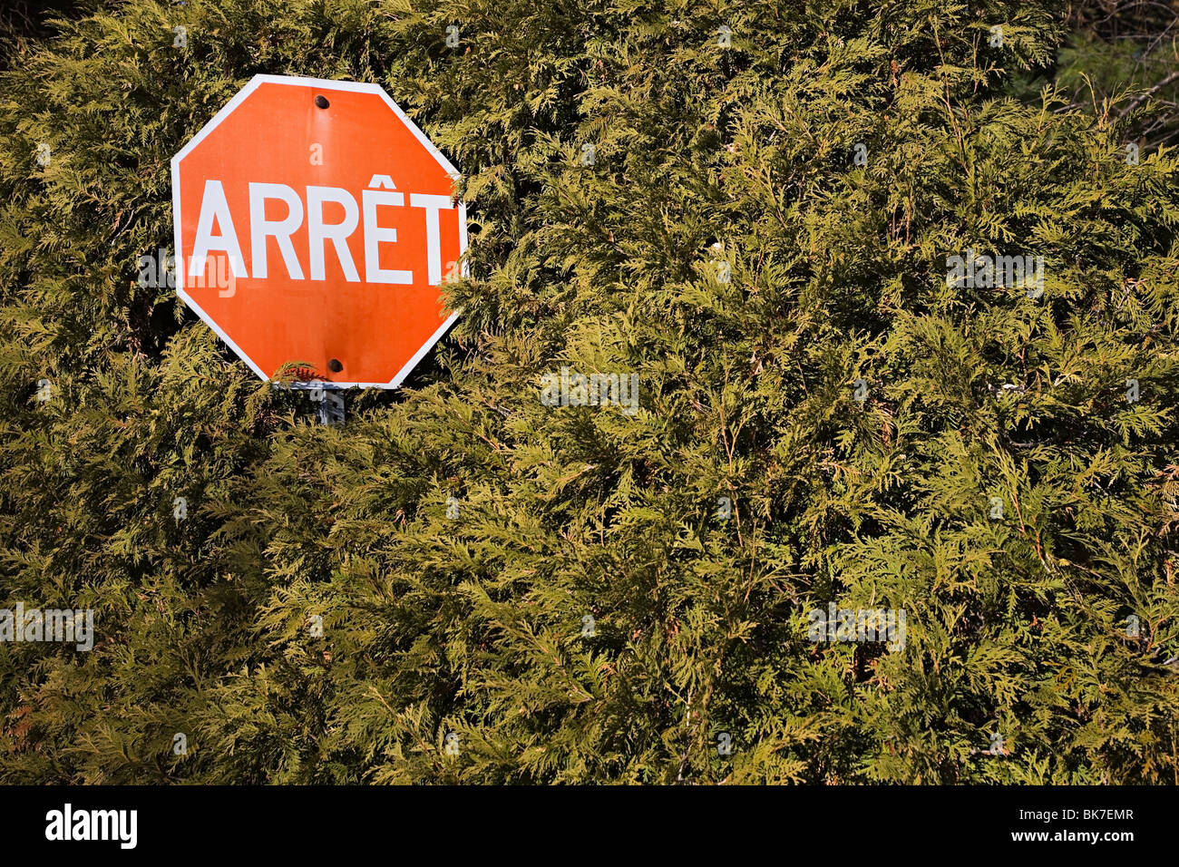 Stop Sign In French High Resolution Stock Photography and Images - Alamy
