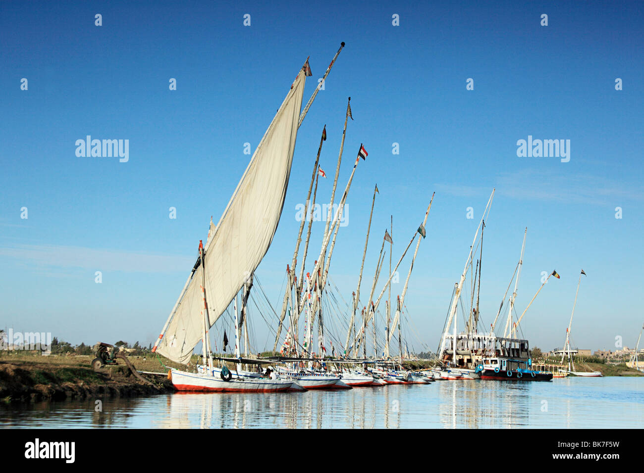 Felucca boats on river nile at luxor Stock Photo - Alamy