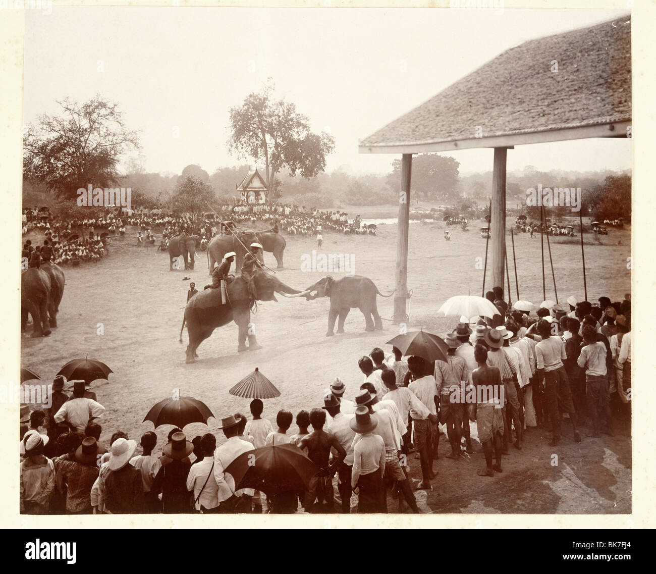 Elephant hunt hi-res stock photography and images - Alamy