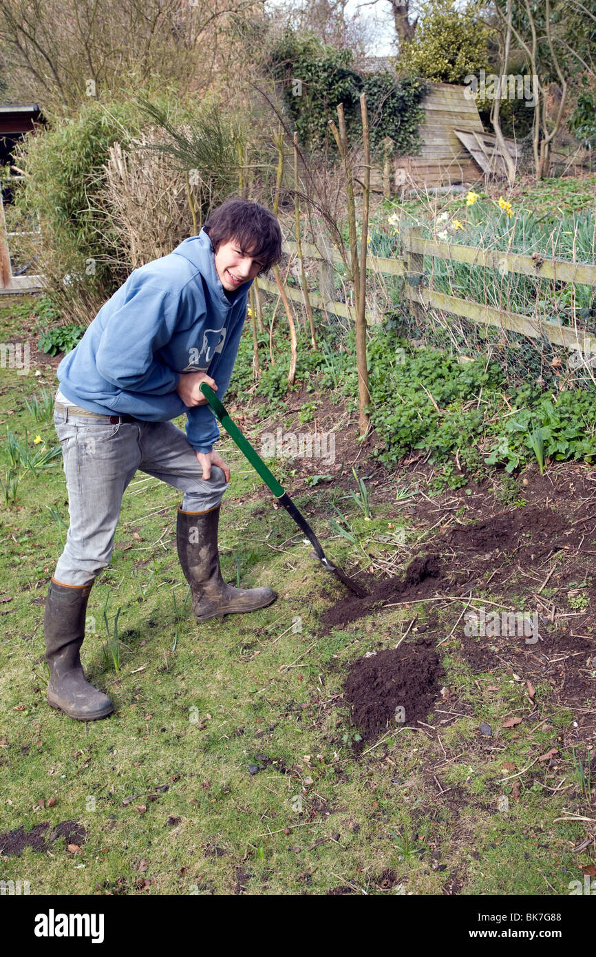Model released teenage boy digging hole in garden Stock Photo - Alamy