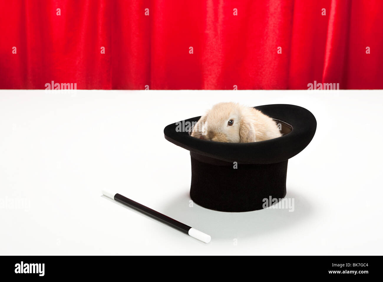 Magic Rabbit High Resolution Stock Photography and Images - Alamy