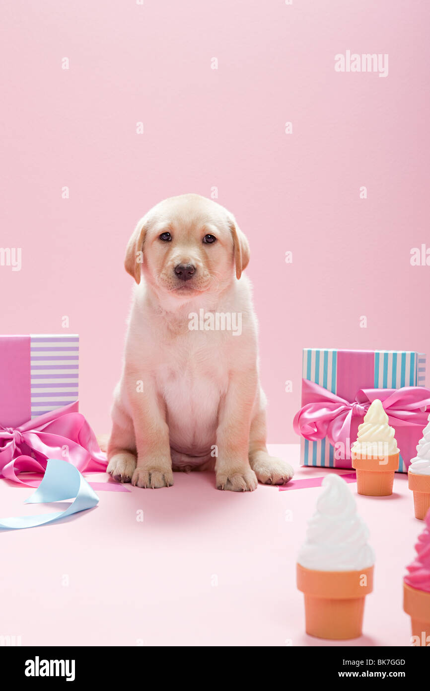 Ice cream gifts hi-res stock photography and images - Alamy