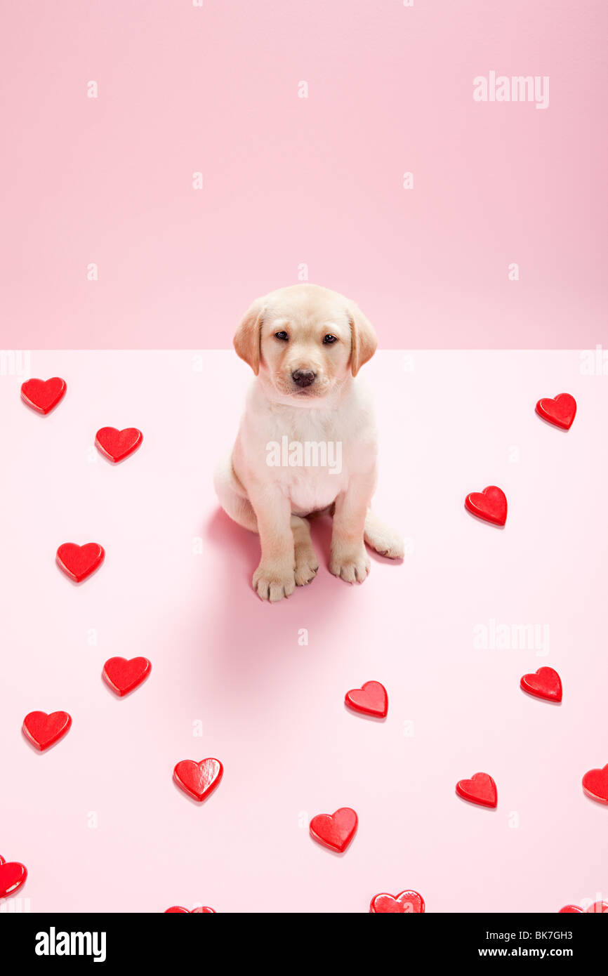 Heart shapes hi-res stock photography and images - Alamy