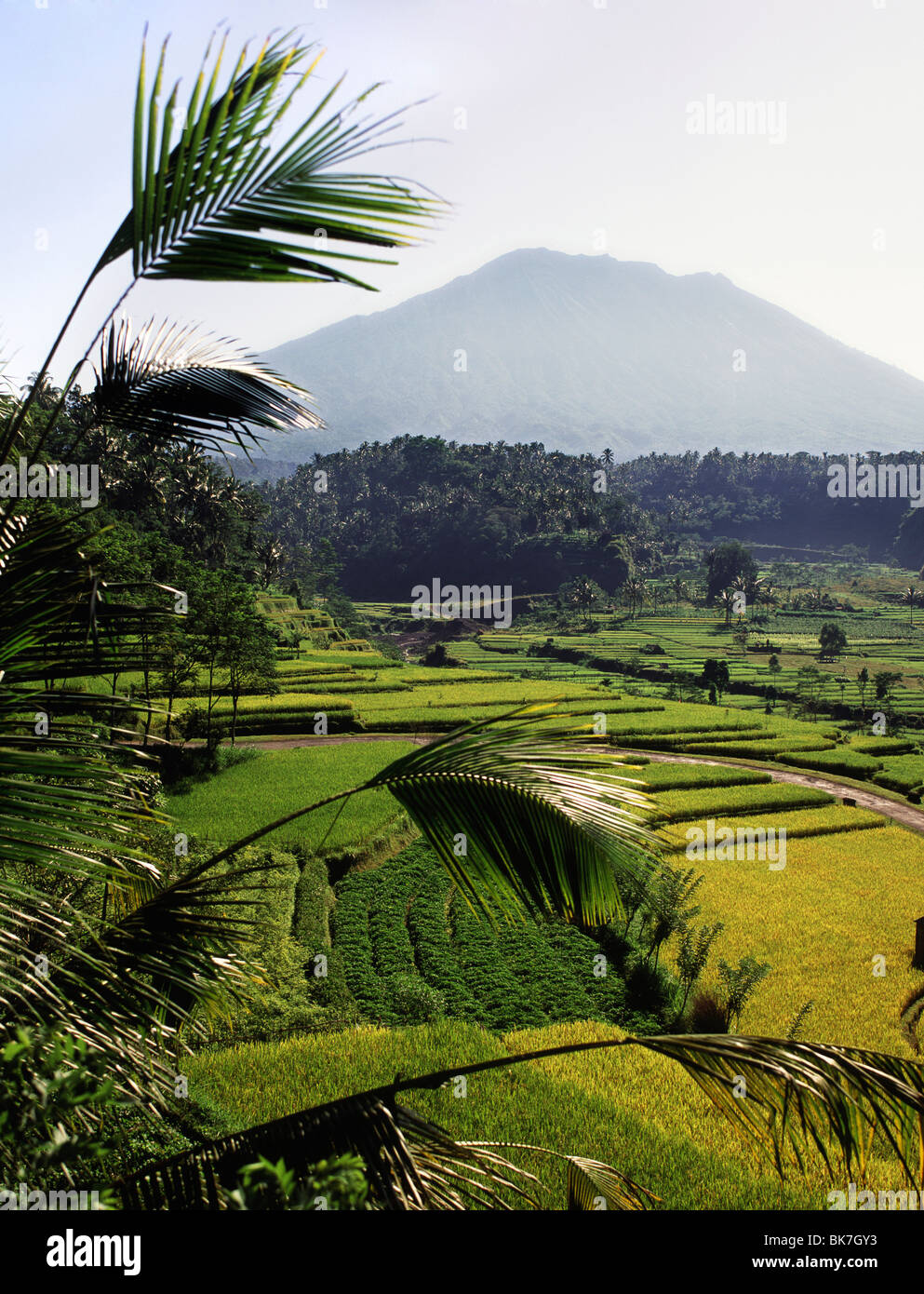 Batur, Bali, Indonesia, Southeast Asia, Asia Stock Photo - Alamy