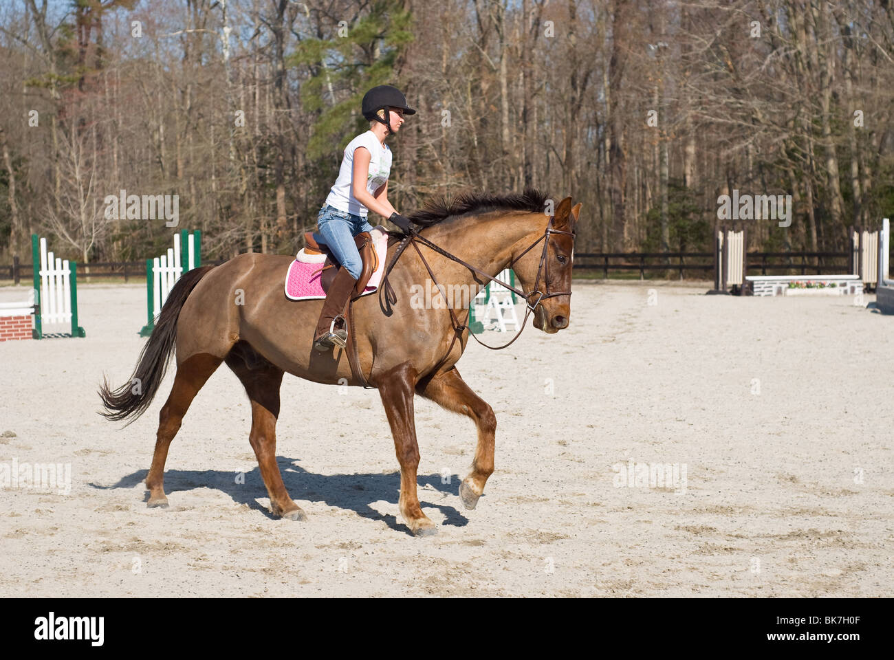 Young Woman Equestrian Training on Brown Horse Stock Photo - Alamy