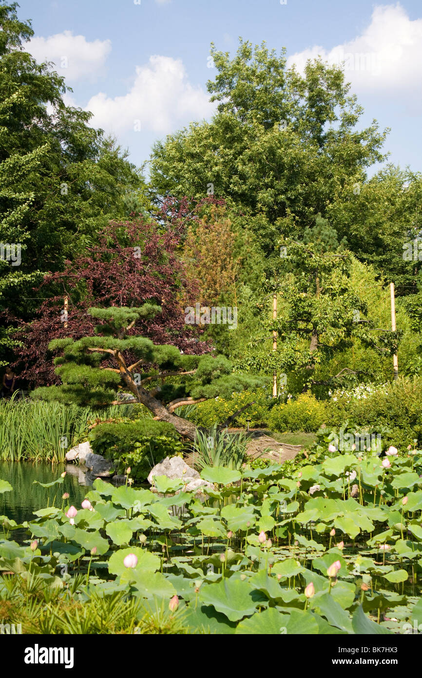 Montreal Botanical Garden Stock Photo - Alamy