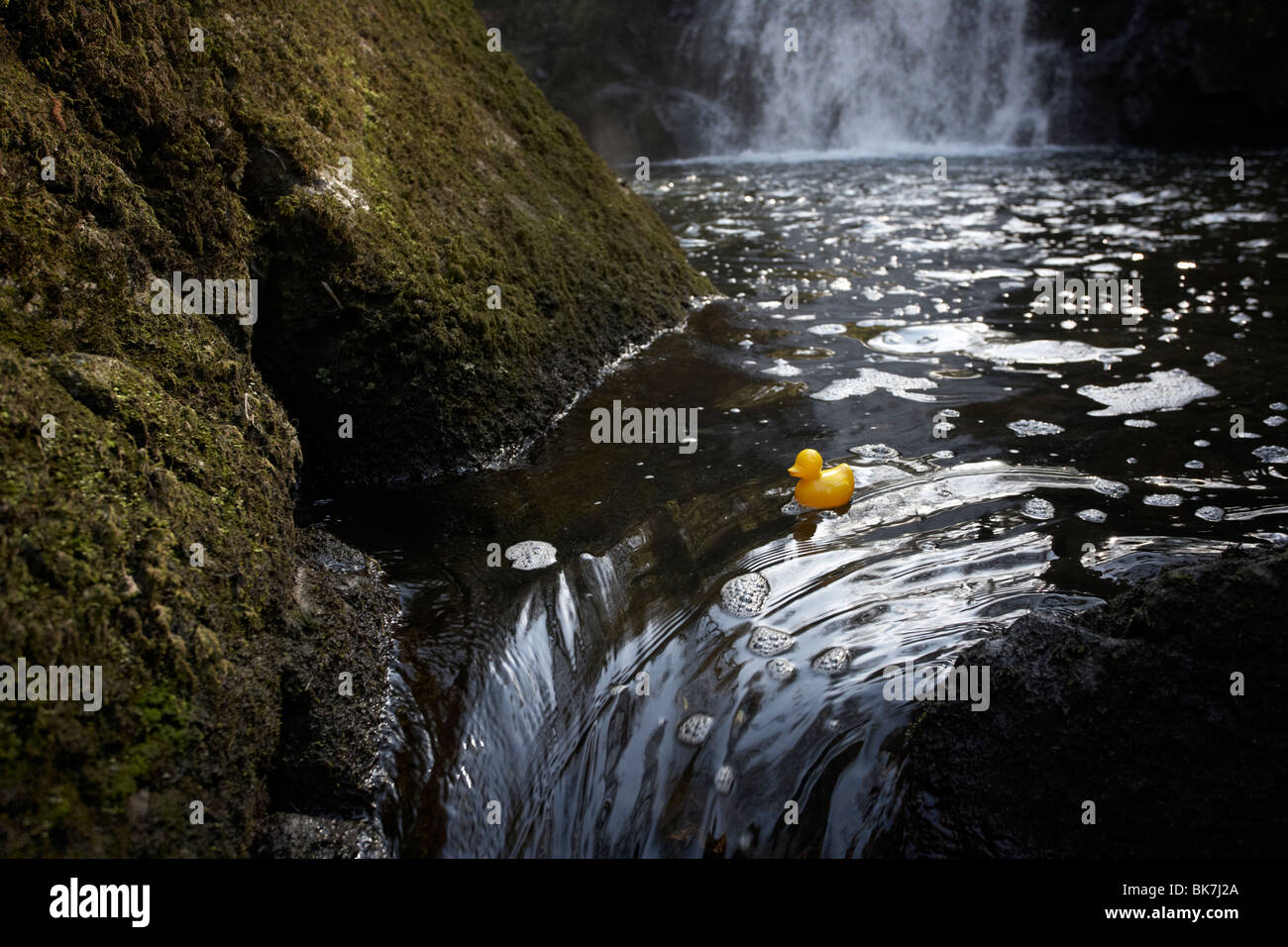 yellow plastic toy duck going over a waterfall on a fast flowing river ...
