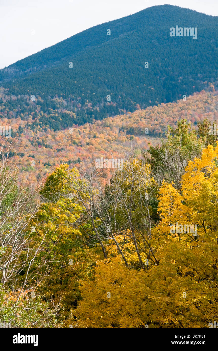 Autumn Foliage,Mount Washington,White Mountain National Forest,First ...