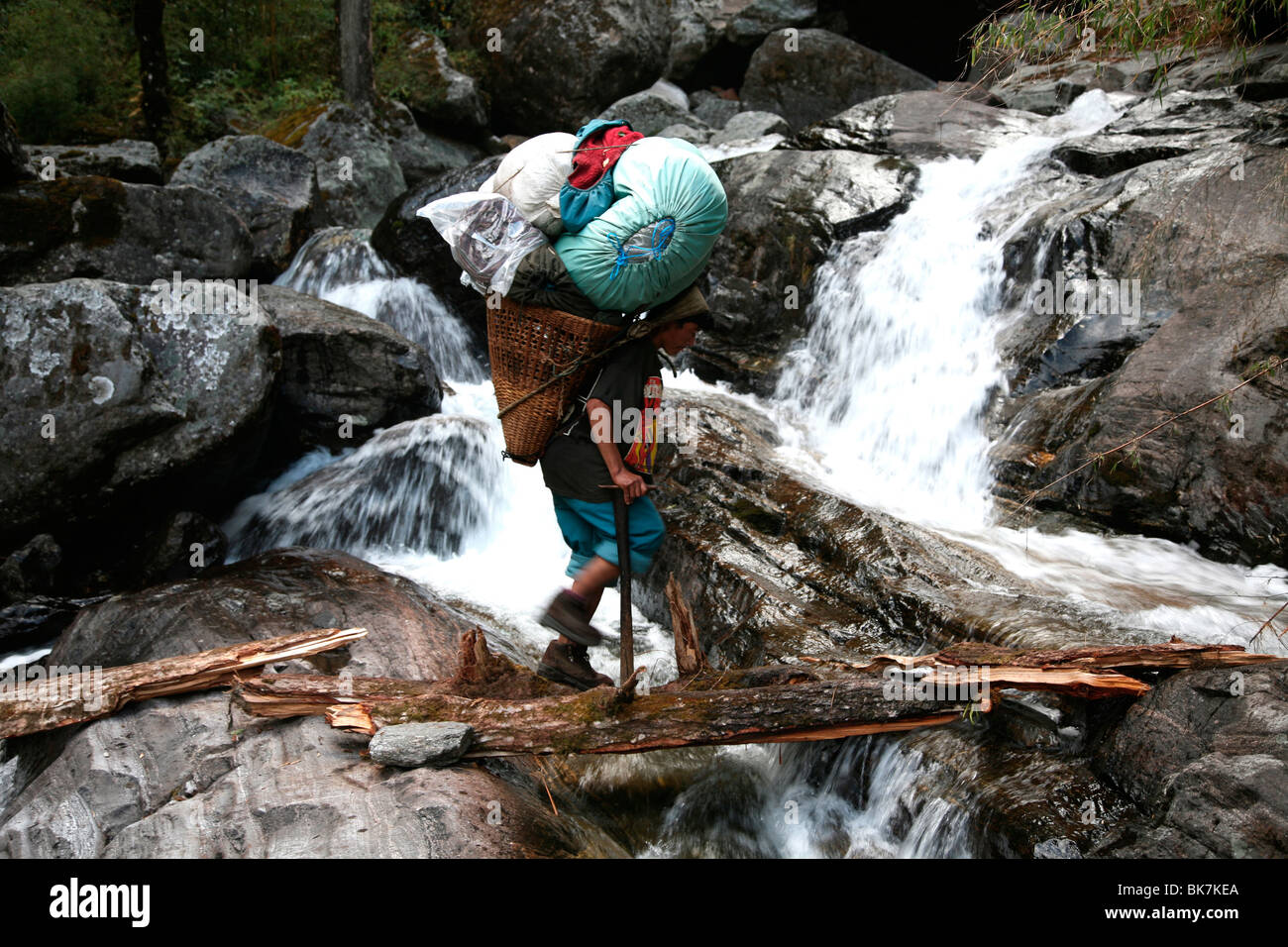 Porter crosses a river using a fallen log carrying a heavy load up the ...