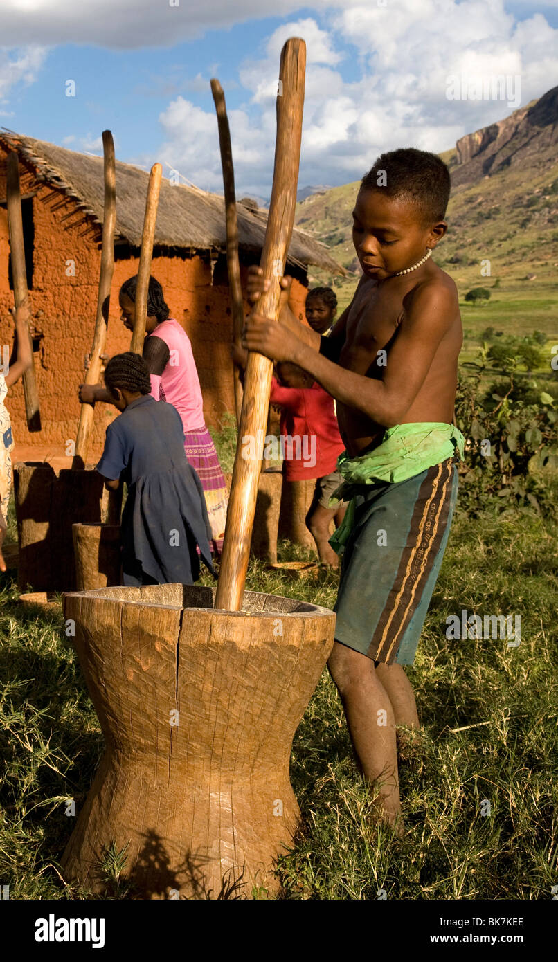 Pounding millet hi-res stock photography and images - Alamy