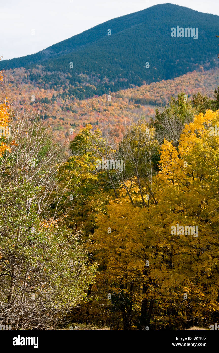 Autumn Foliage,Mount Washington,White Mountain National Forest,First ...