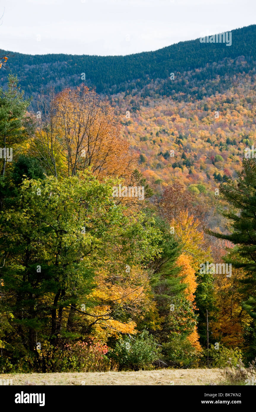 Autumn Foliage,Mount Washington,White Mountain National Forest,First ...