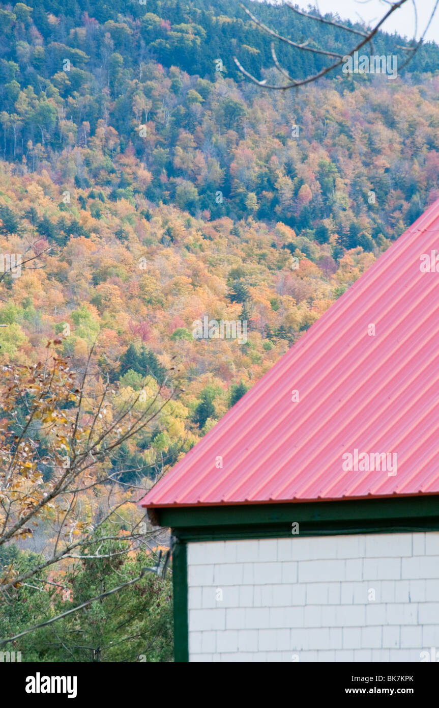 Autumn Foliage,Mount Washington,White Mountain National Forest,First ...