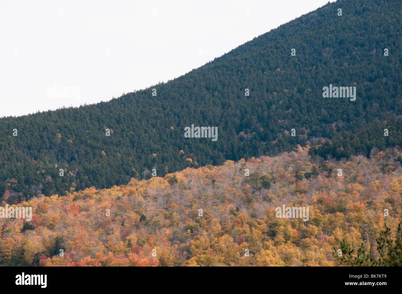 Autumn Foliage,Mount Washington,White Mountain National Forest,First ...
