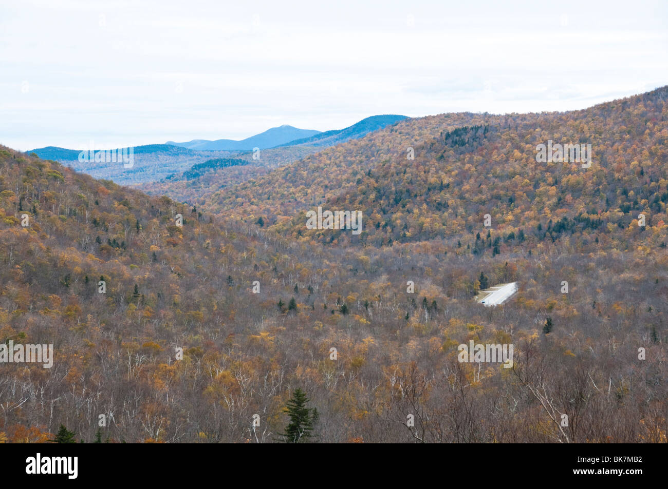 Autumn Foliage,Mount Washington,White Mountain National Forest,First ...
