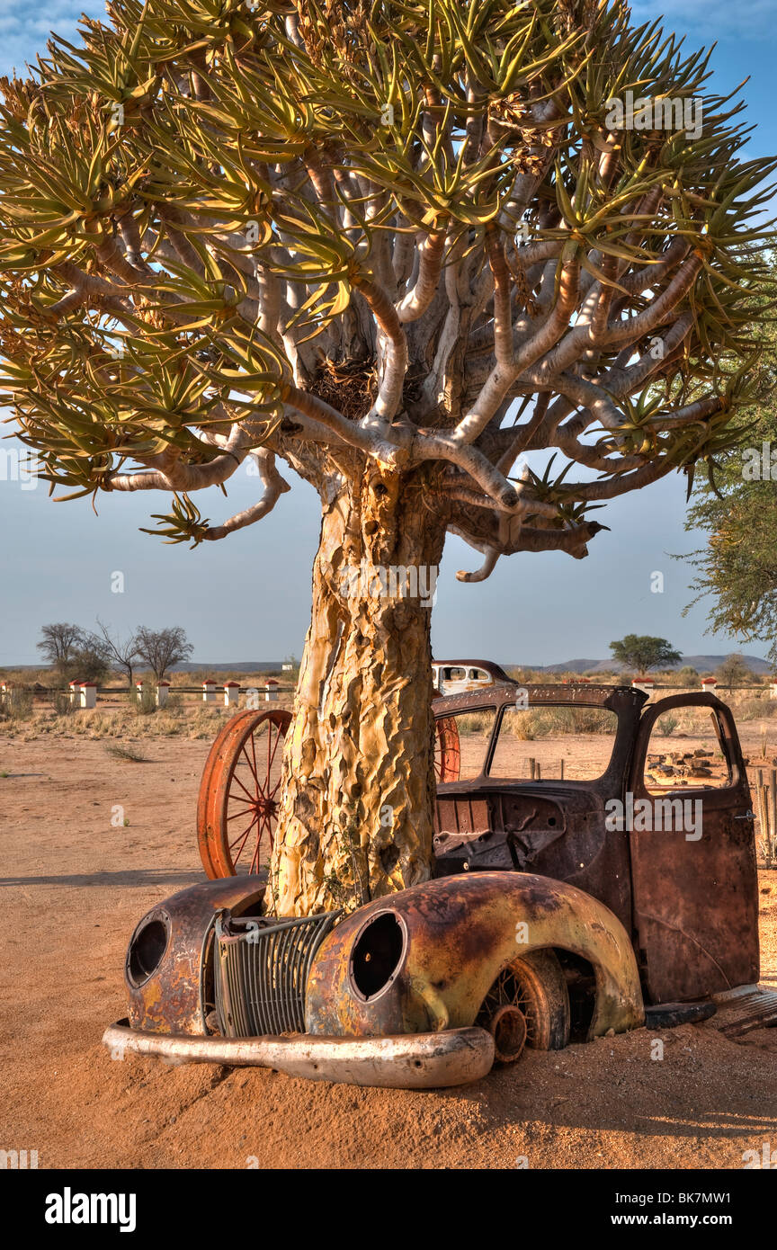 Tree growing through old car hi-res stock photography and images - Alamy