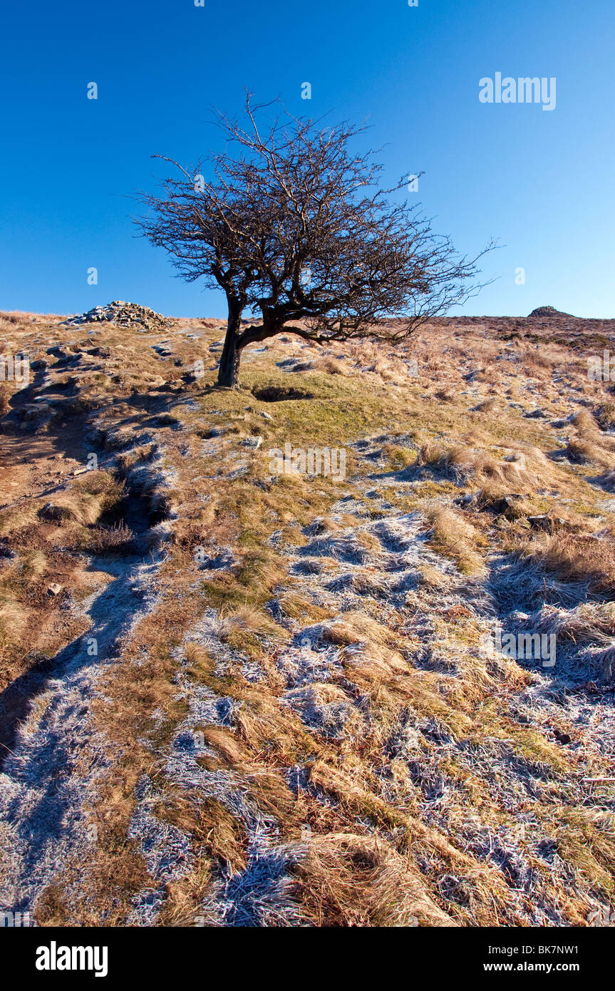 A frosty cold path leading up Win Hill in the Peak District from the ...