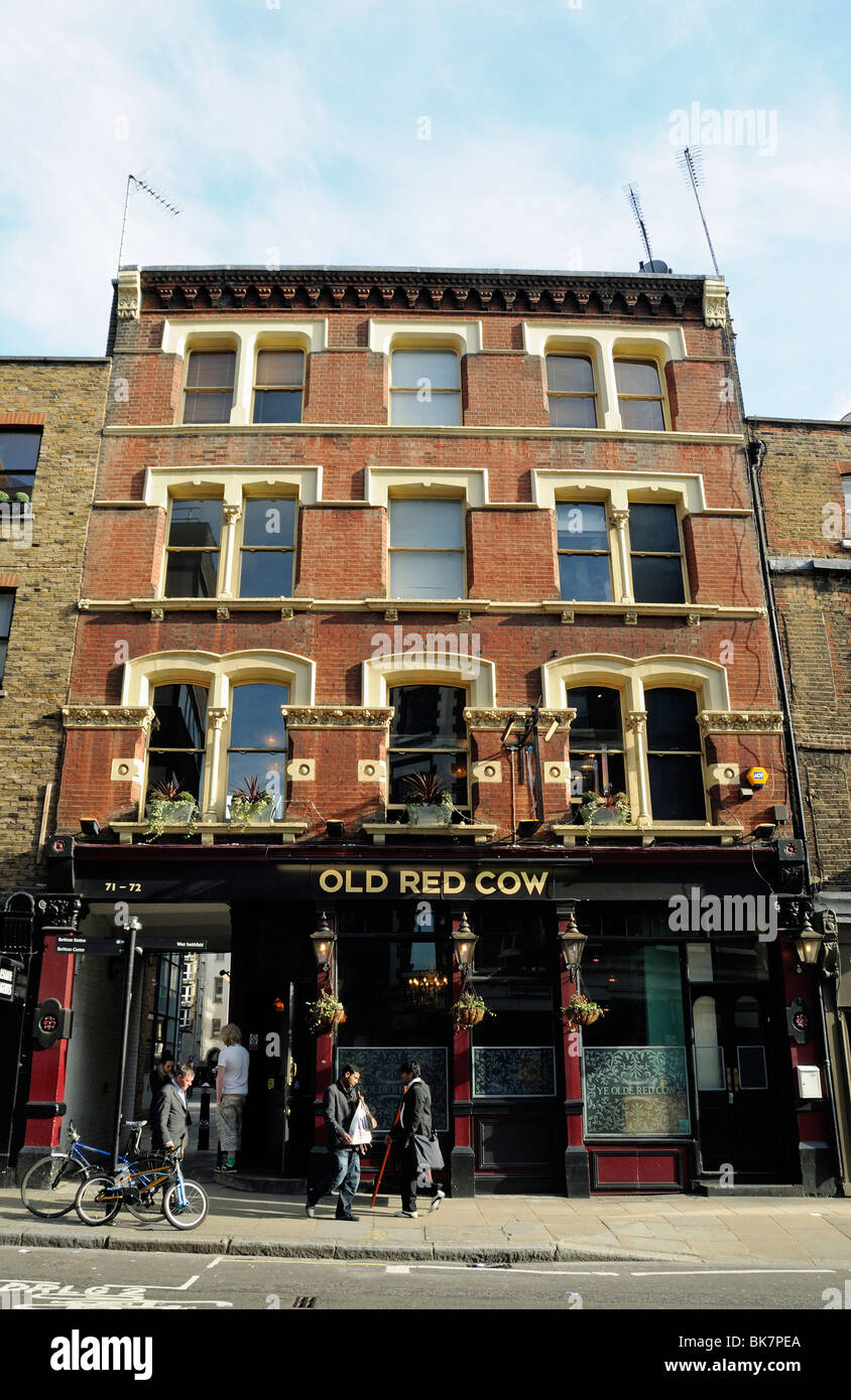 Old cow hi-res stock photography and images - Alamy