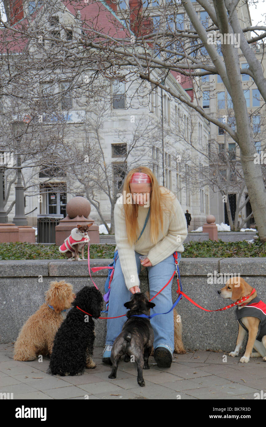 Feed street dogs hi-res stock photography and images - Alamy