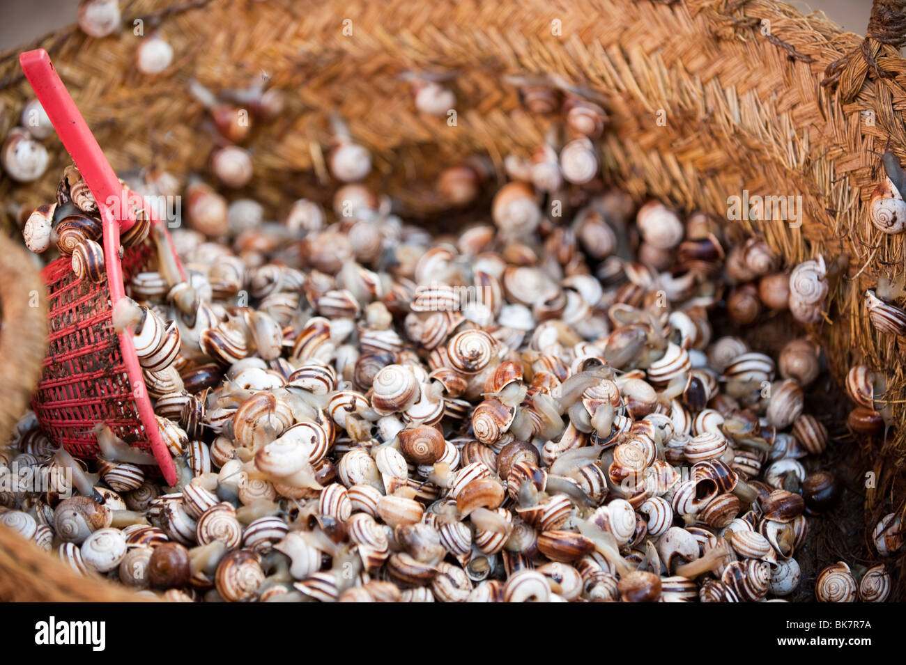 Snails, street market, medina, Fez, Morocco Stock Photo - Alamy