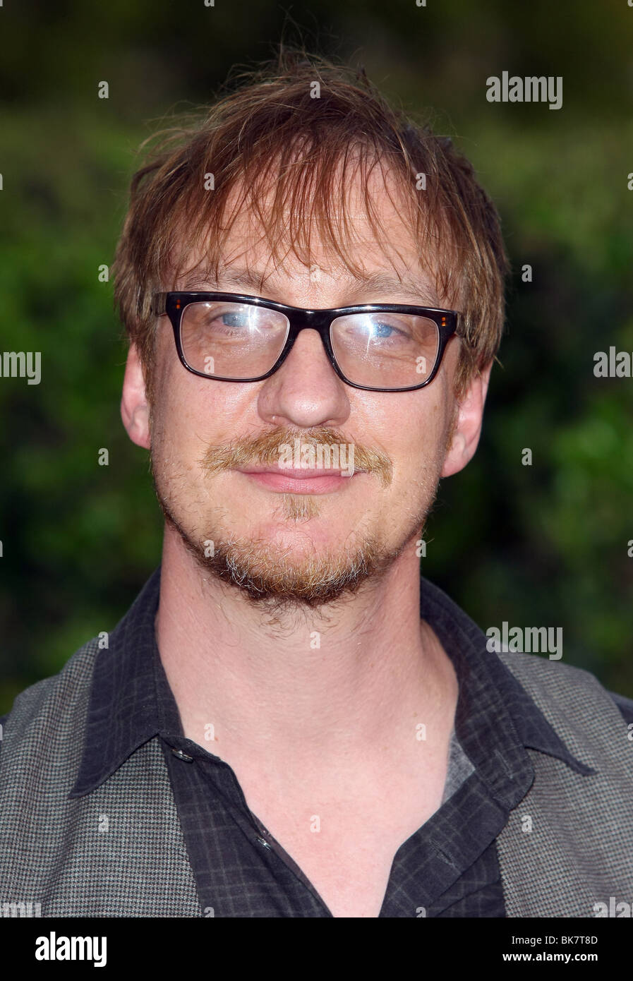 DAVID THEWLIS THE SOLOIST LOS ANGELES PREMIERE HOLLYWOOD LOS ANGELES CA ...