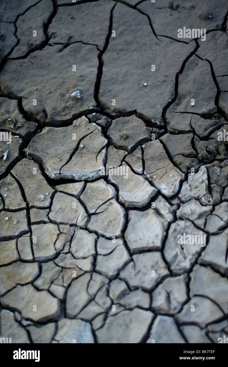 Close up detail of dried earth Stock Photo - Alamy