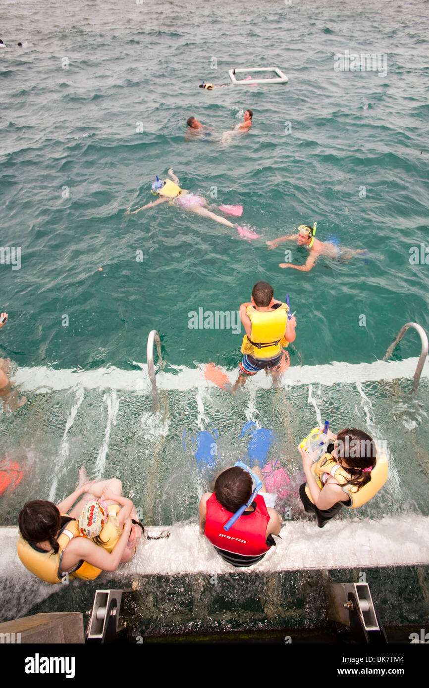 Tourists snorkelling from a dive and snorkel platform anchored to the ...