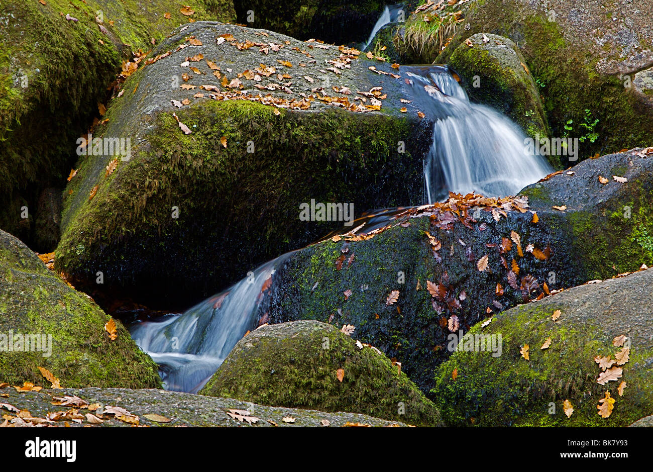Stream running between rocks, Dartmoor Stock Photo - Alamy
