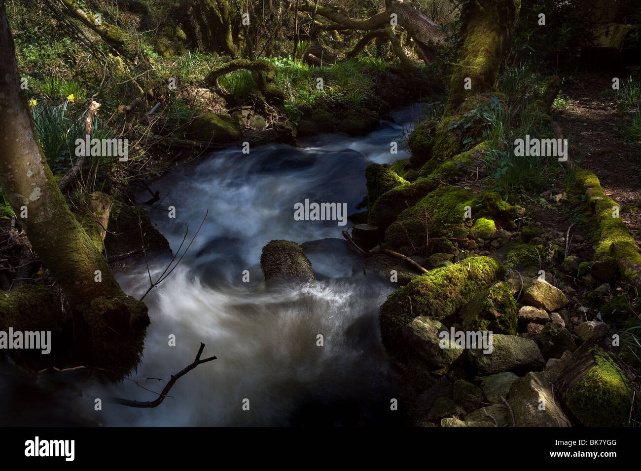 A flowing river Stock Photo - Alamy