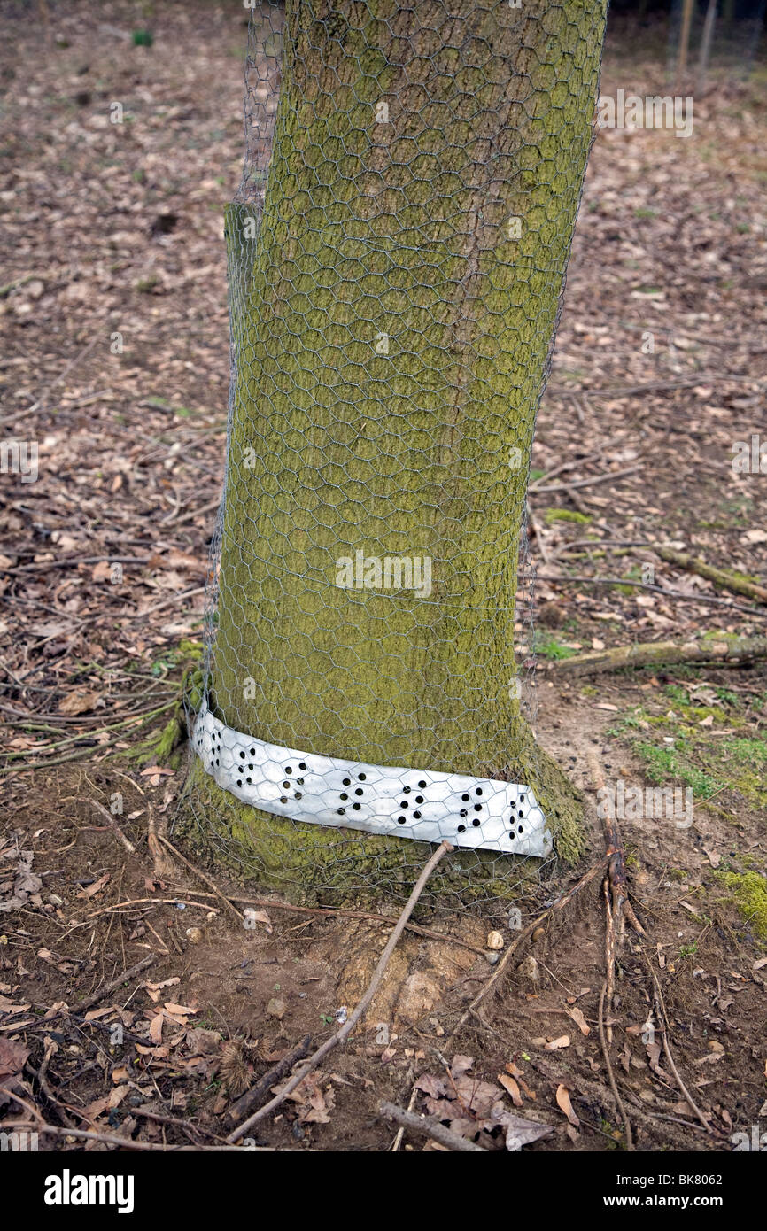 Wire tree hi-res stock photography and images - Alamy