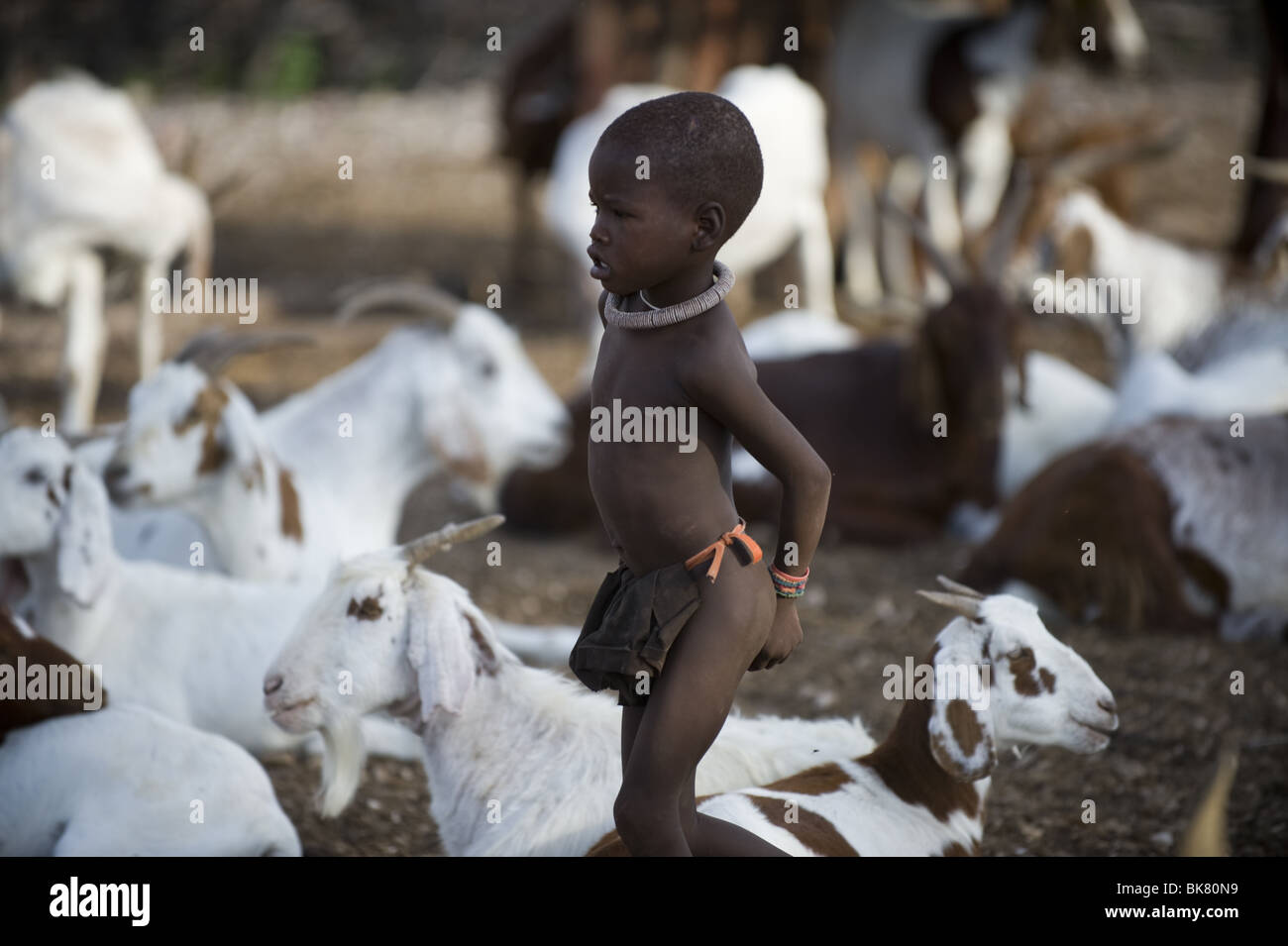 Himba child with goats, Kaokoland, Namibia Stock Photo - Alamy