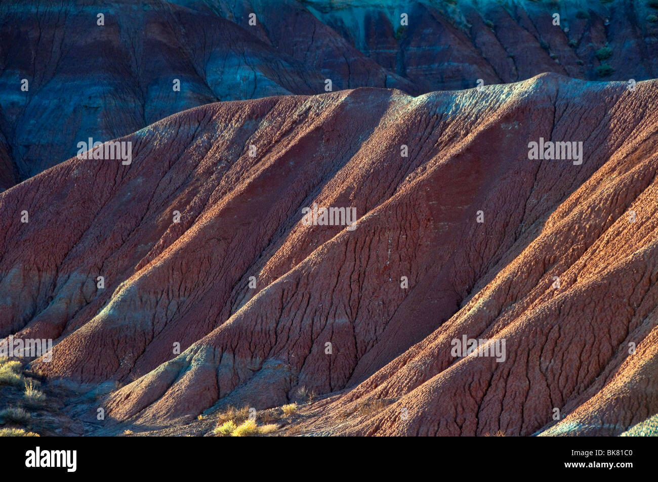 Patterns in the rocks New Mexico Southwest USA Stock Photo - Alamy