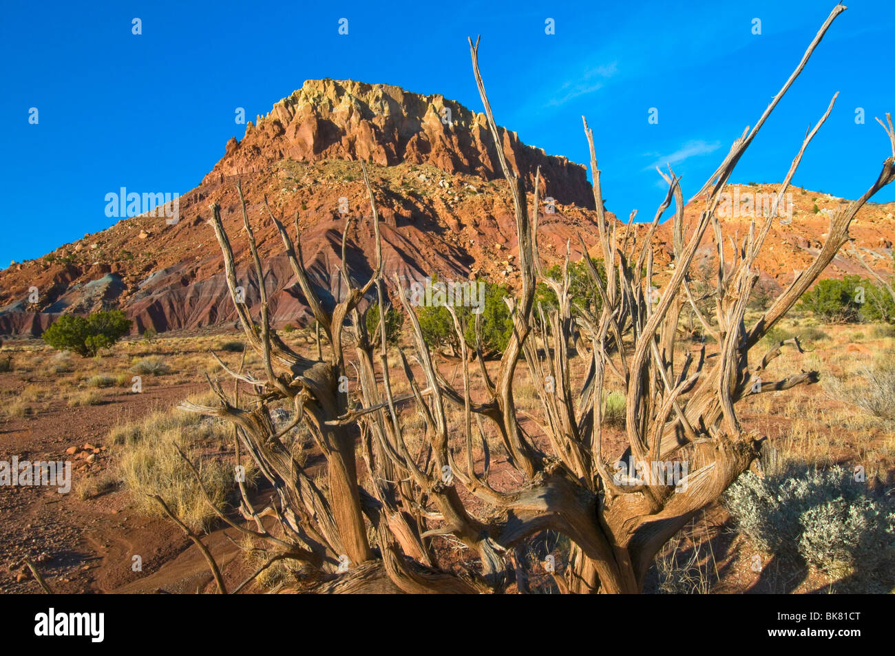 Ghost Ranch New Mexico Southwest USA Stock Photo - Alamy