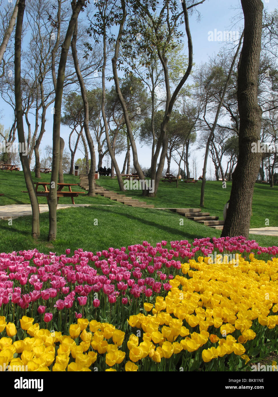 tulip park at the Istanbul,Turkey Stock Photo - Alamy