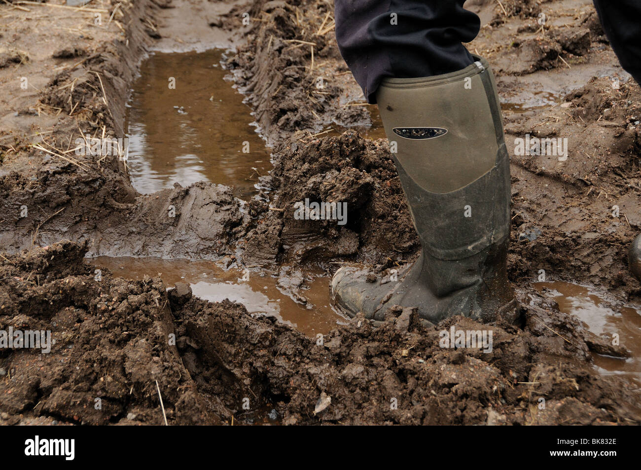 Boot in the mud Stock Photo - Alamy