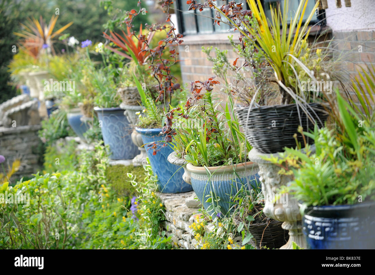 Overgrown garden uk hi-res stock photography and images - Alamy