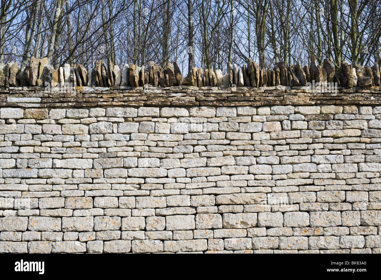 Barnack Cambridgeshire High Resolution Stock Photography and Images - Alamy