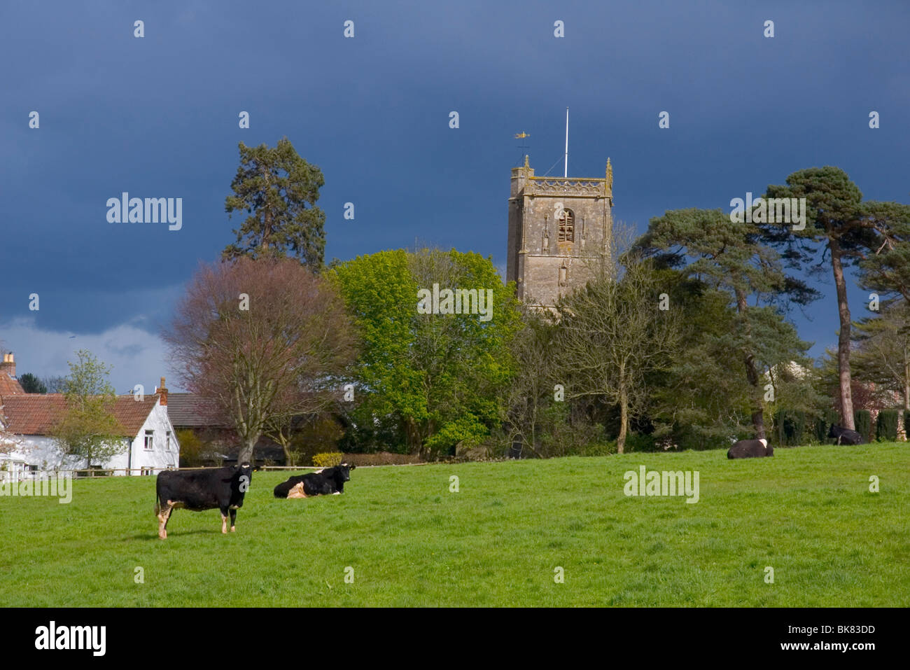 Compton martin village hi-res stock photography and images - Alamy