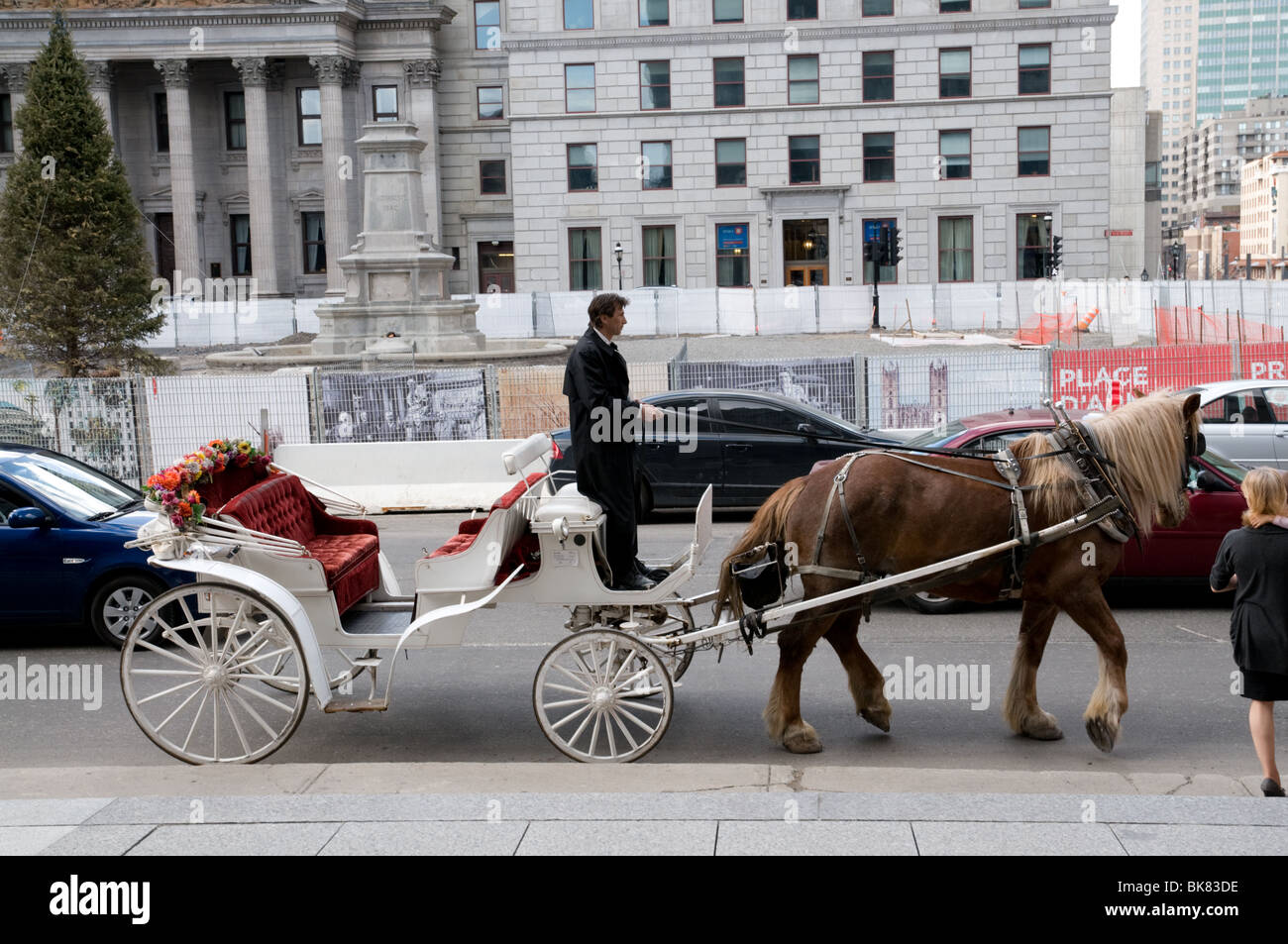 Classic horse-drawn carriage in old Montreal, Canada Stock Photo - Alamy