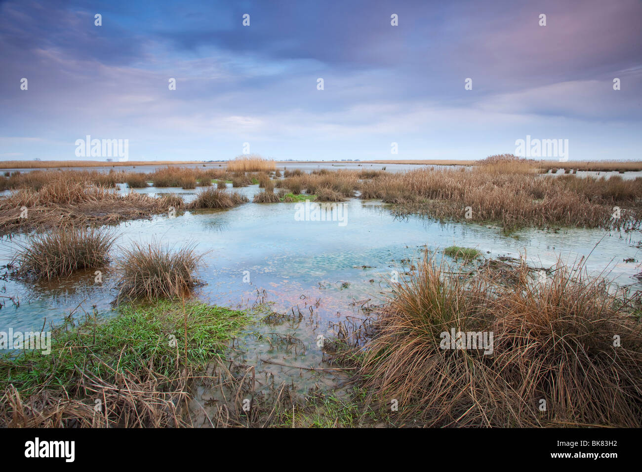 Tidal defence scheme hi-res stock photography and images - Alamy
