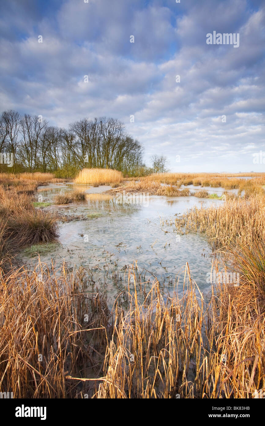 Tidal defence scheme hi-res stock photography and images - Alamy