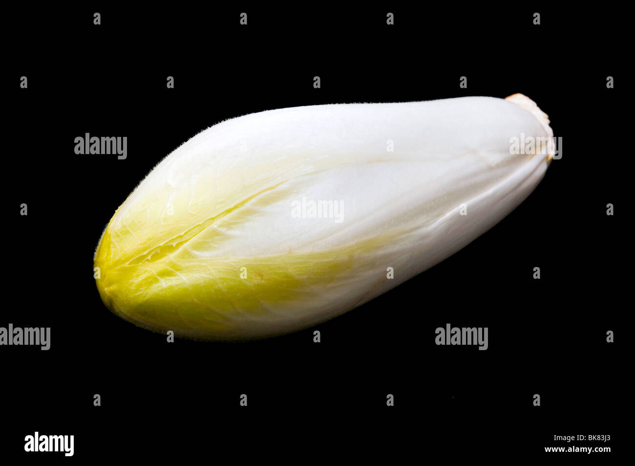 Belgian endive on a black background Stock Photo - Alamy